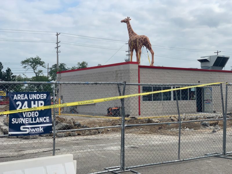 Meijer reveals true origins of gas station giraffe – Lansing City Pulse